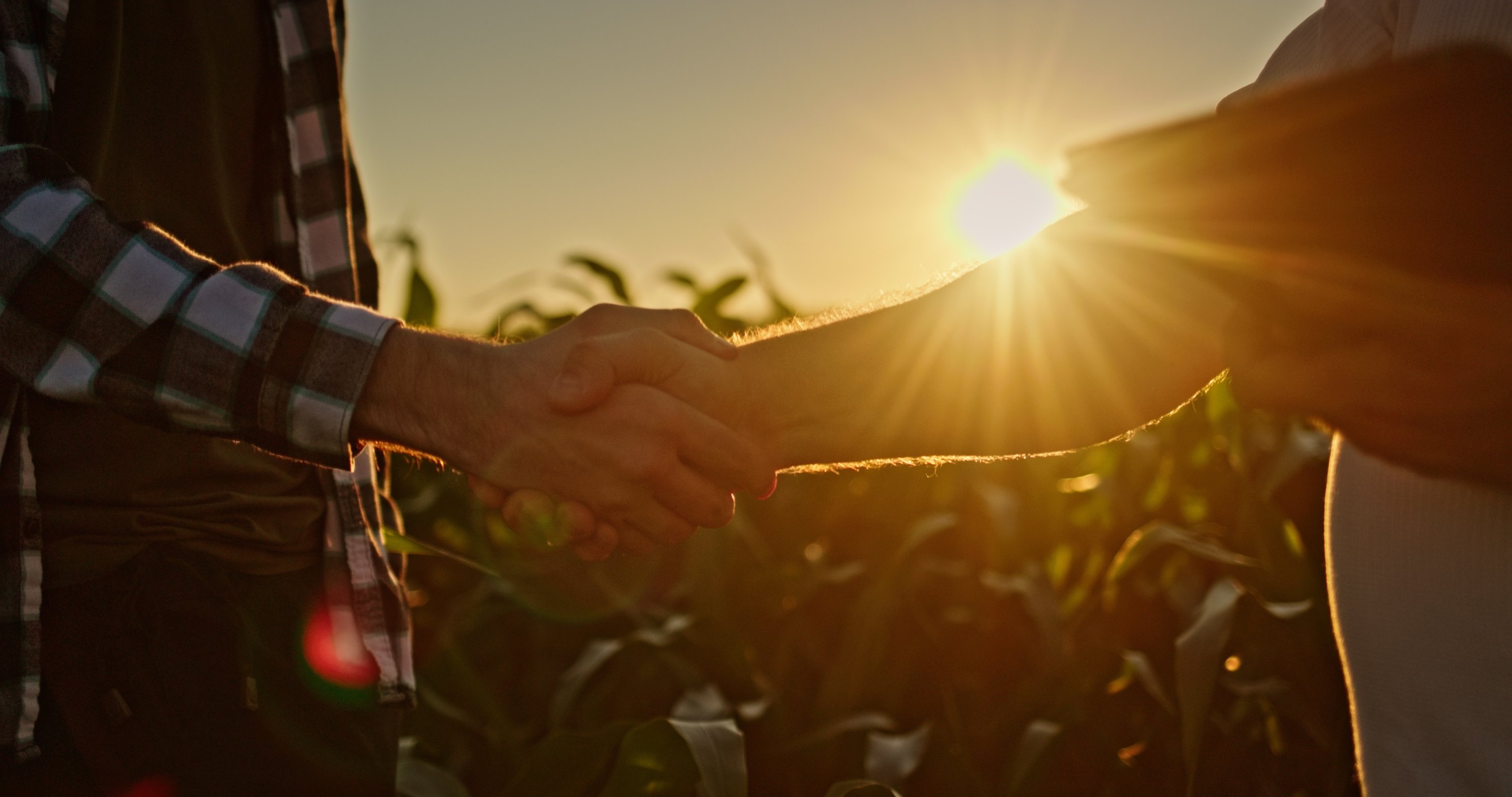 Amistad Bank | About Us